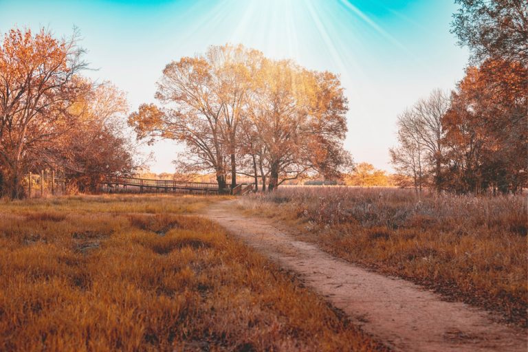 10 Best Places To Experience Fall In Texas - Texas Travel 365