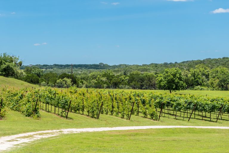 15 Best Things To Do In East Texas You Shouldn t Miss Texas Travel 365 15-best-things-to-do-in-east-texas-you-shouldn-t-miss-texas-travel-365