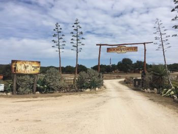 10 Best Texas Dude Ranches You Must Visit - Texas Travel 365