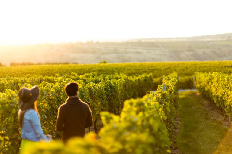 15 Beautiful Vineyards and Wineries in Texas you must Visit! - Texas ...